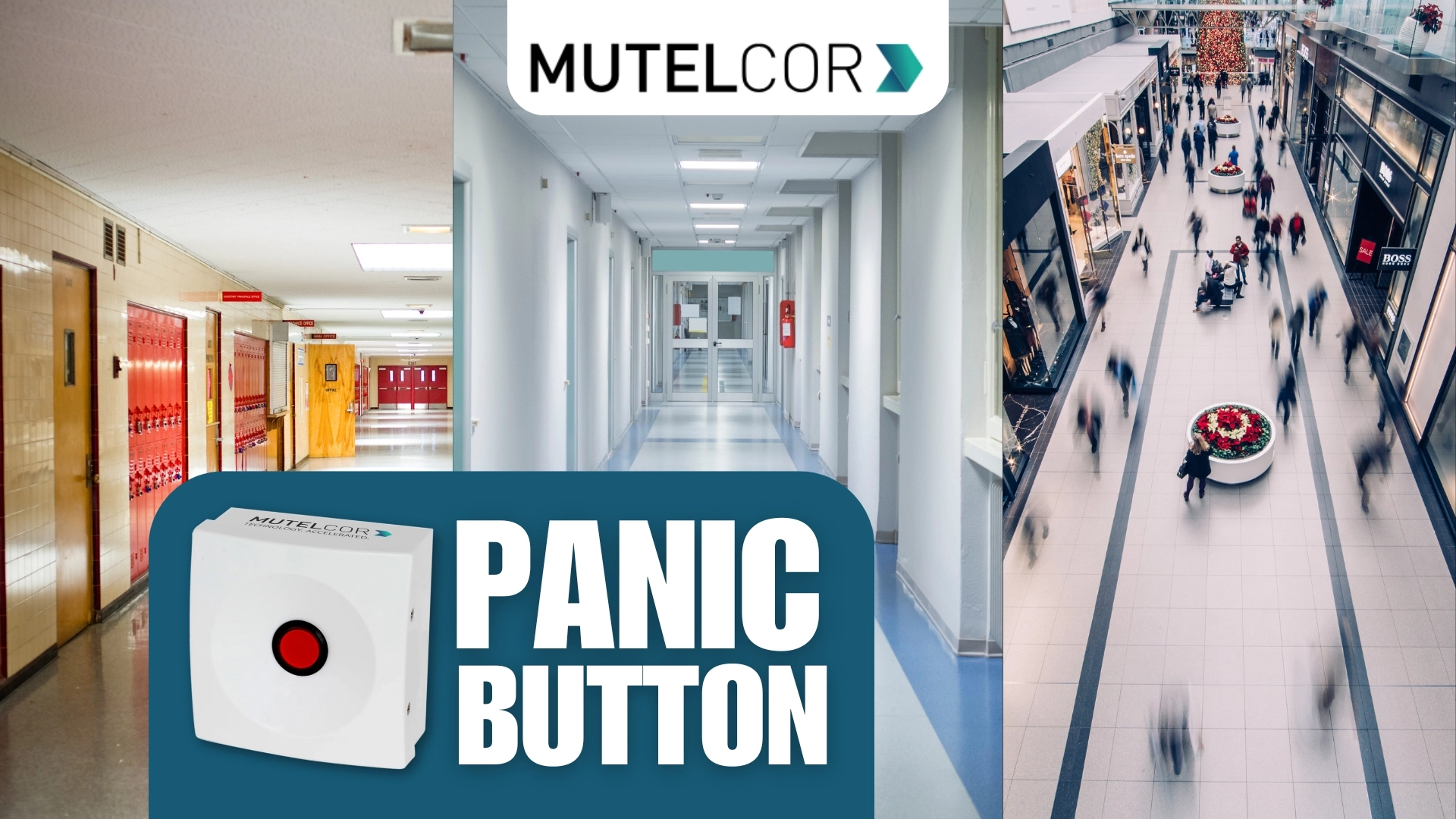 What is a Panic Button and Why is it Important?